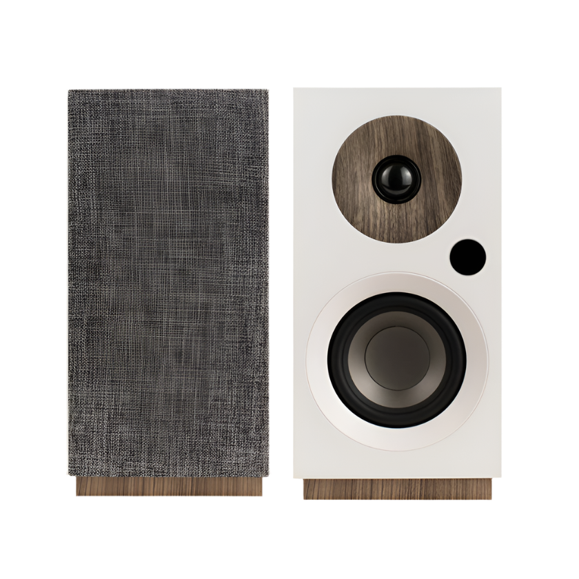 PDR Tool Professional Slapping Spoon For Paintless Dent Repair - Car ...